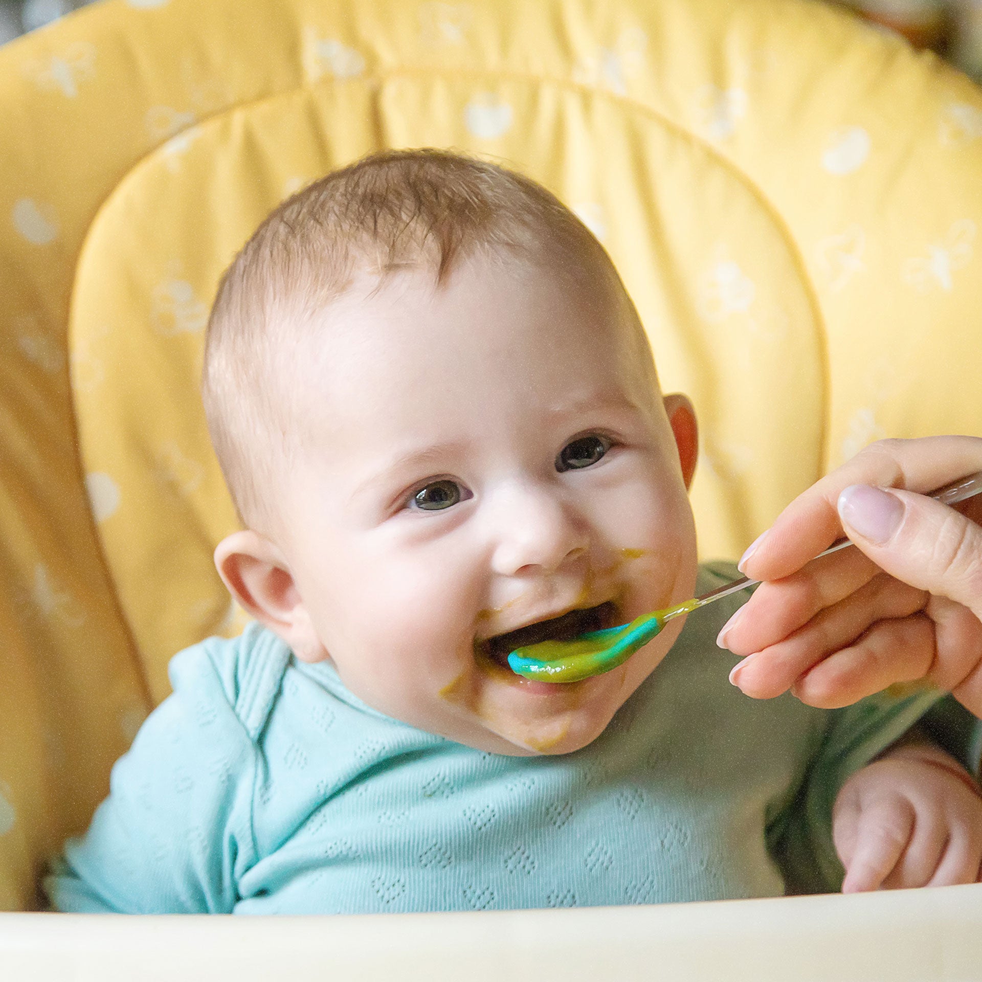 6-9 Months | Pure Bellies Market